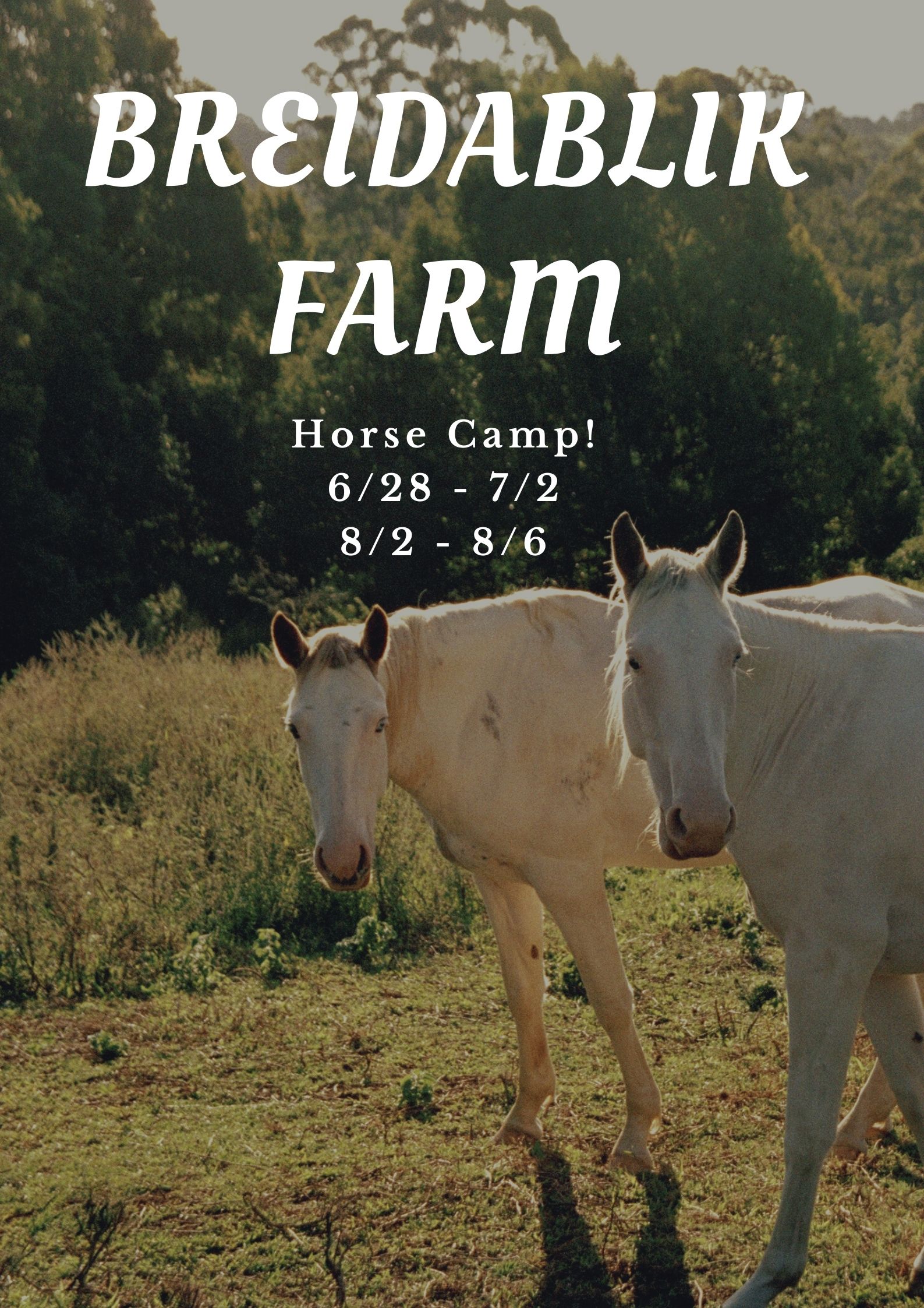 Breidablik Farm Horse Camp – Kitsap Kids